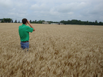 About Field Inspection - Ohio Seed Improvement Association
